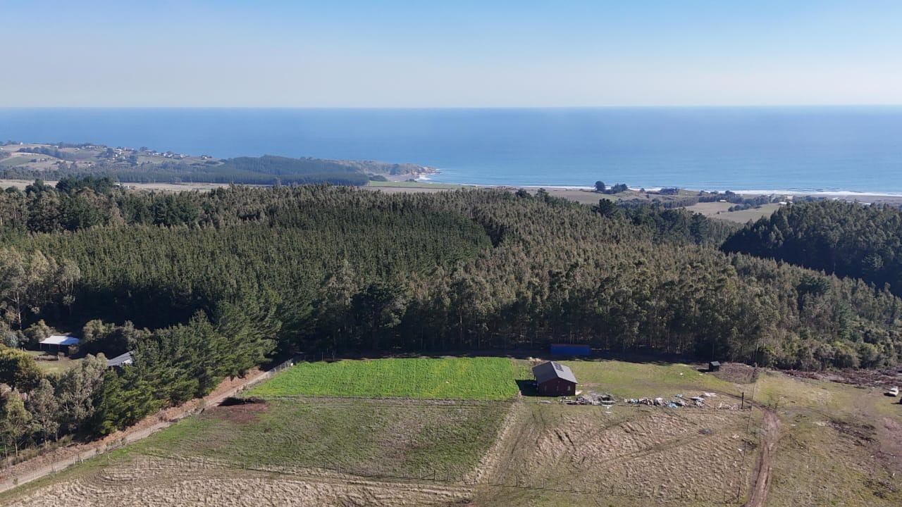 Parcela o Chacra en Venta en Cobquecura 3 dormitorios 1 baño | 48507898 ...